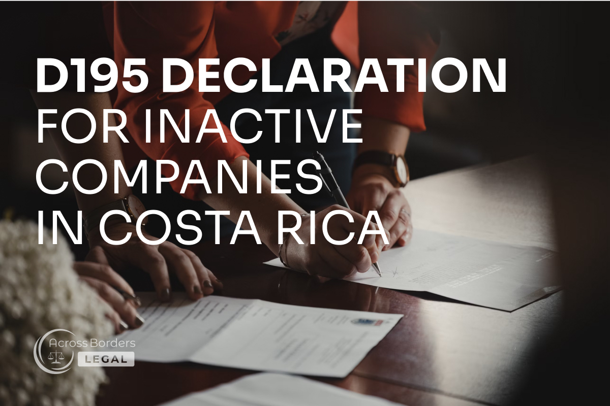 Everything You Need to Know About the D195 Declaration for Inactive ...